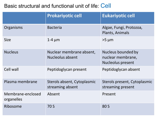 Introduction of microbiology | PPT