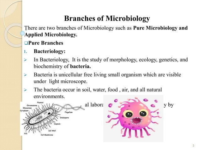 Introduction of Microbiology (2).pdf | Chemistry | Science