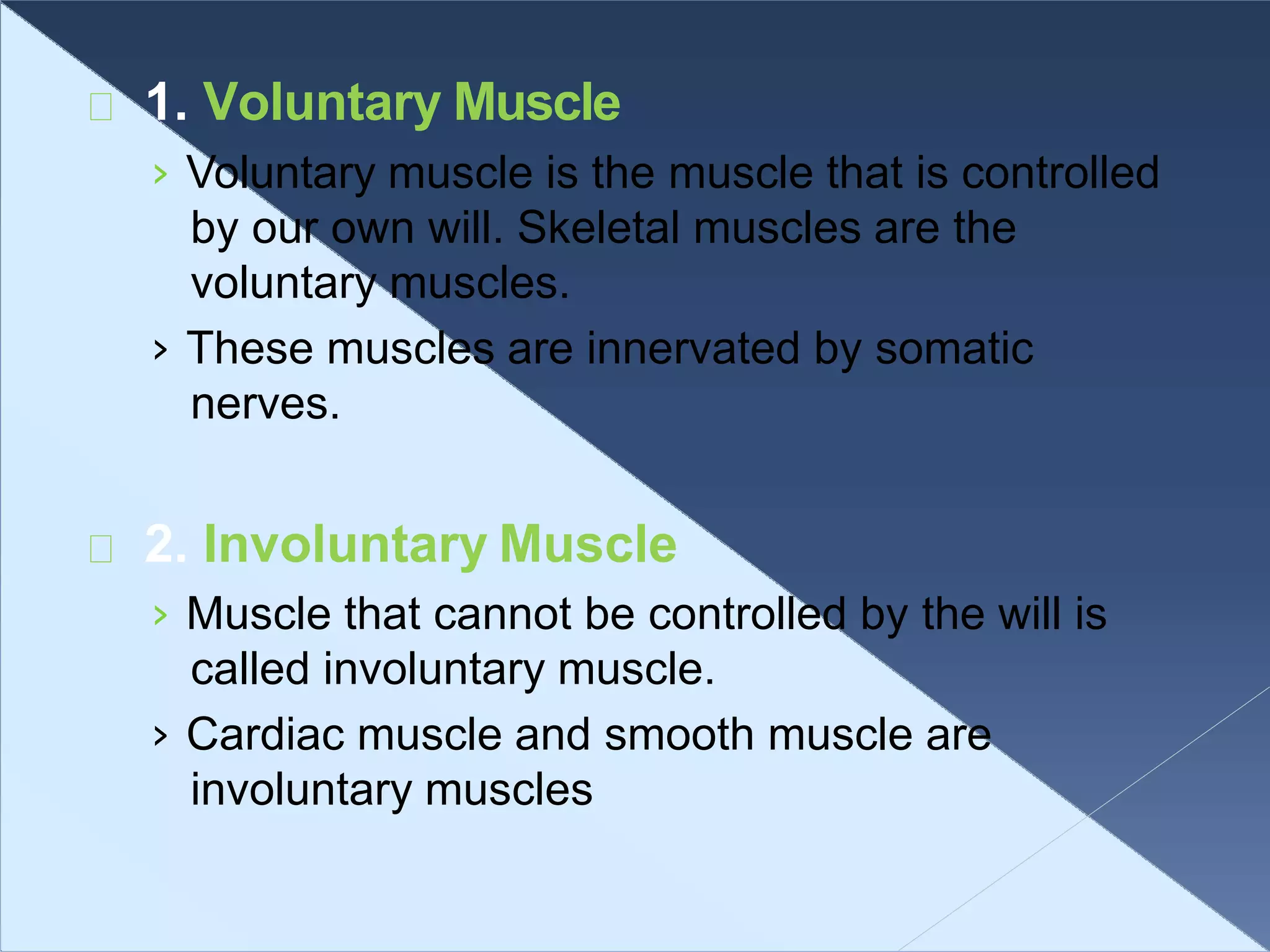 Introduction of muscle.pptx
