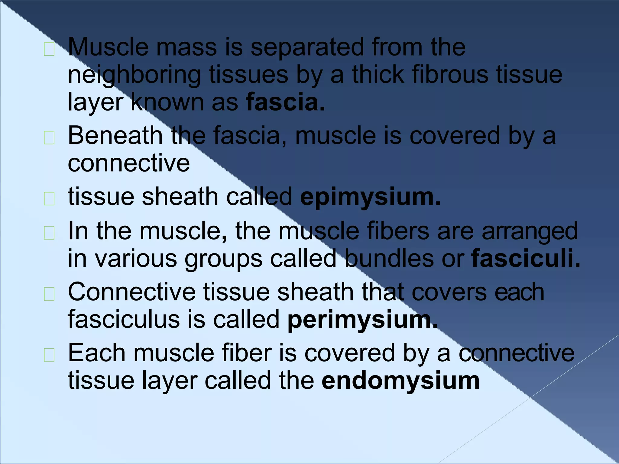 Introduction of muscle.pptx