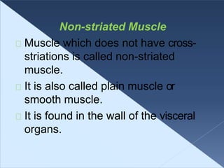 Introduction of muscle.pptx