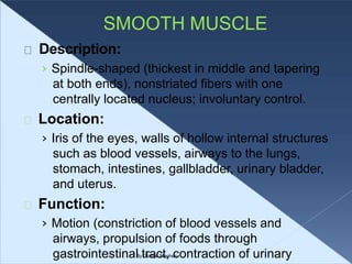 Introduction of muscle.pptx
