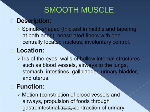 Introduction of muscle.pptx