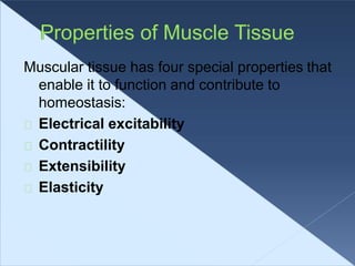 Introduction of muscle.pptx