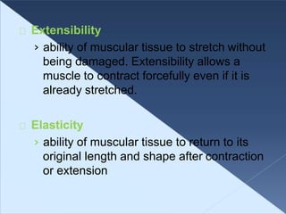Introduction of muscle.pptx