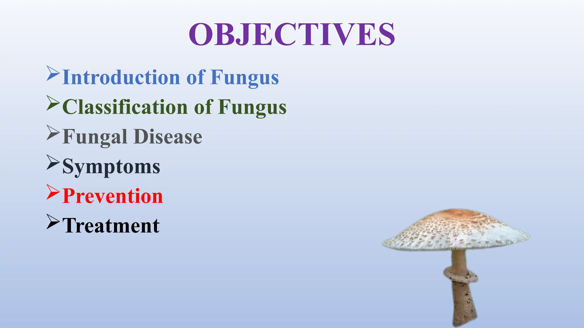 Fungus, Classification, Disease, Symptoms, Prevention, Treatment,etc.pptx