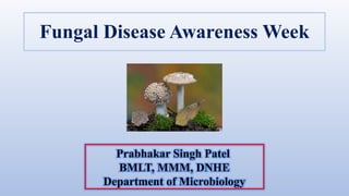 Fungus, Classification, Disease, Symptoms, Prevention, Treatment,etc.pptx