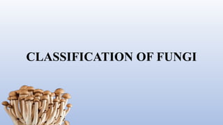 Fungus, Classification, Disease, Symptoms, Prevention, Treatment,etc.pptx
