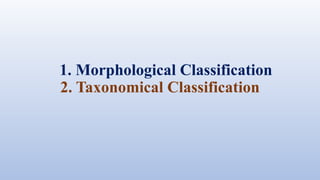 Fungus, Classification, Disease, Symptoms, Prevention, Treatment,etc.pptx