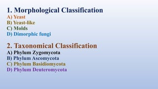 Fungus, Classification, Disease, Symptoms, Prevention, Treatment,etc.pptx