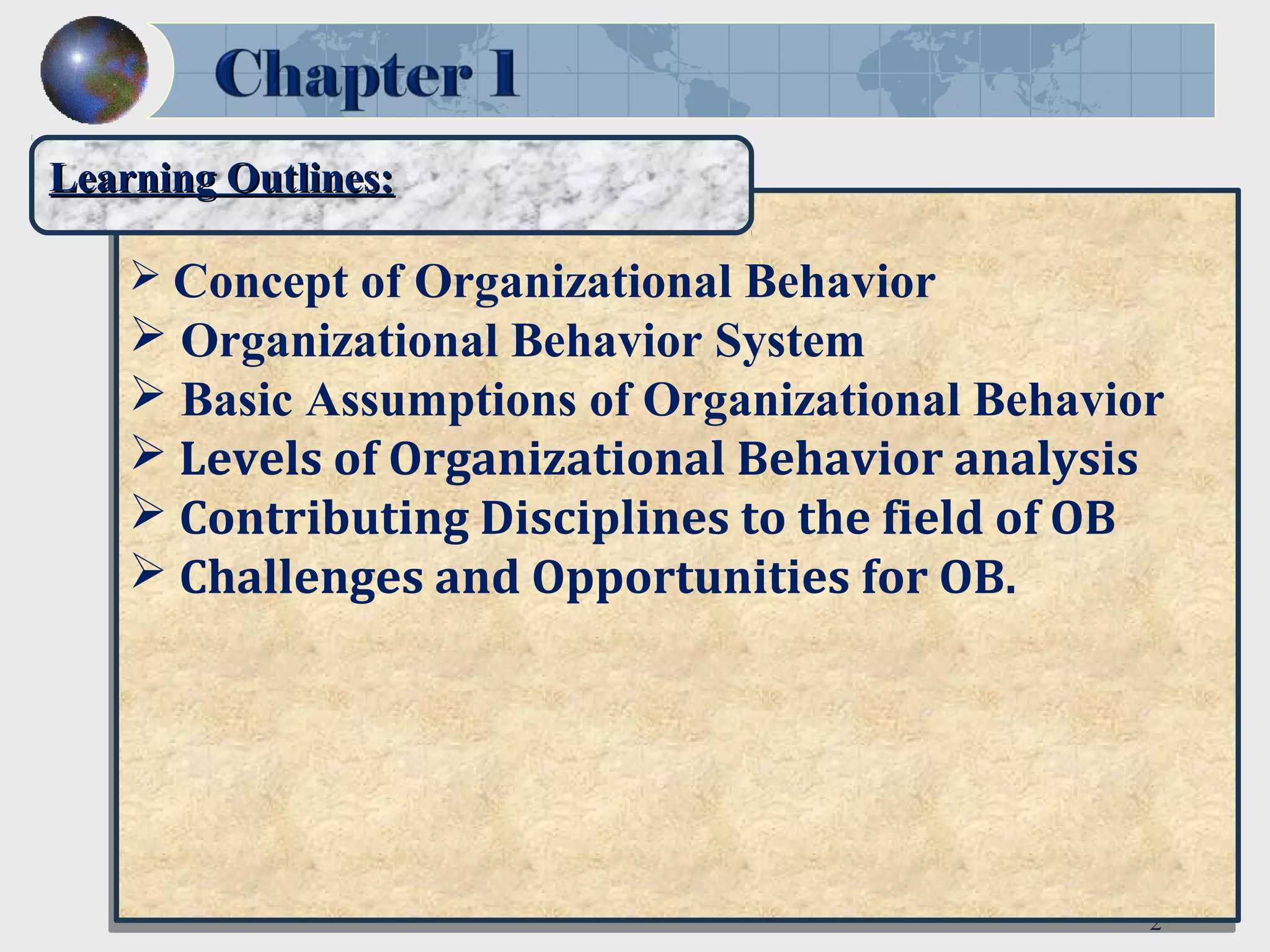 Introduction to Organizational Behavior | PPT | Business | Business and ...