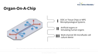 Introduction of Organ-On-A-Chip - Creative Biolabs | PPTX