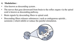 Introduction of pain and managment of pain.pptx | Physical Therapy ...