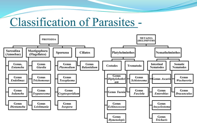 Introduction of Parasitology (1).pdf