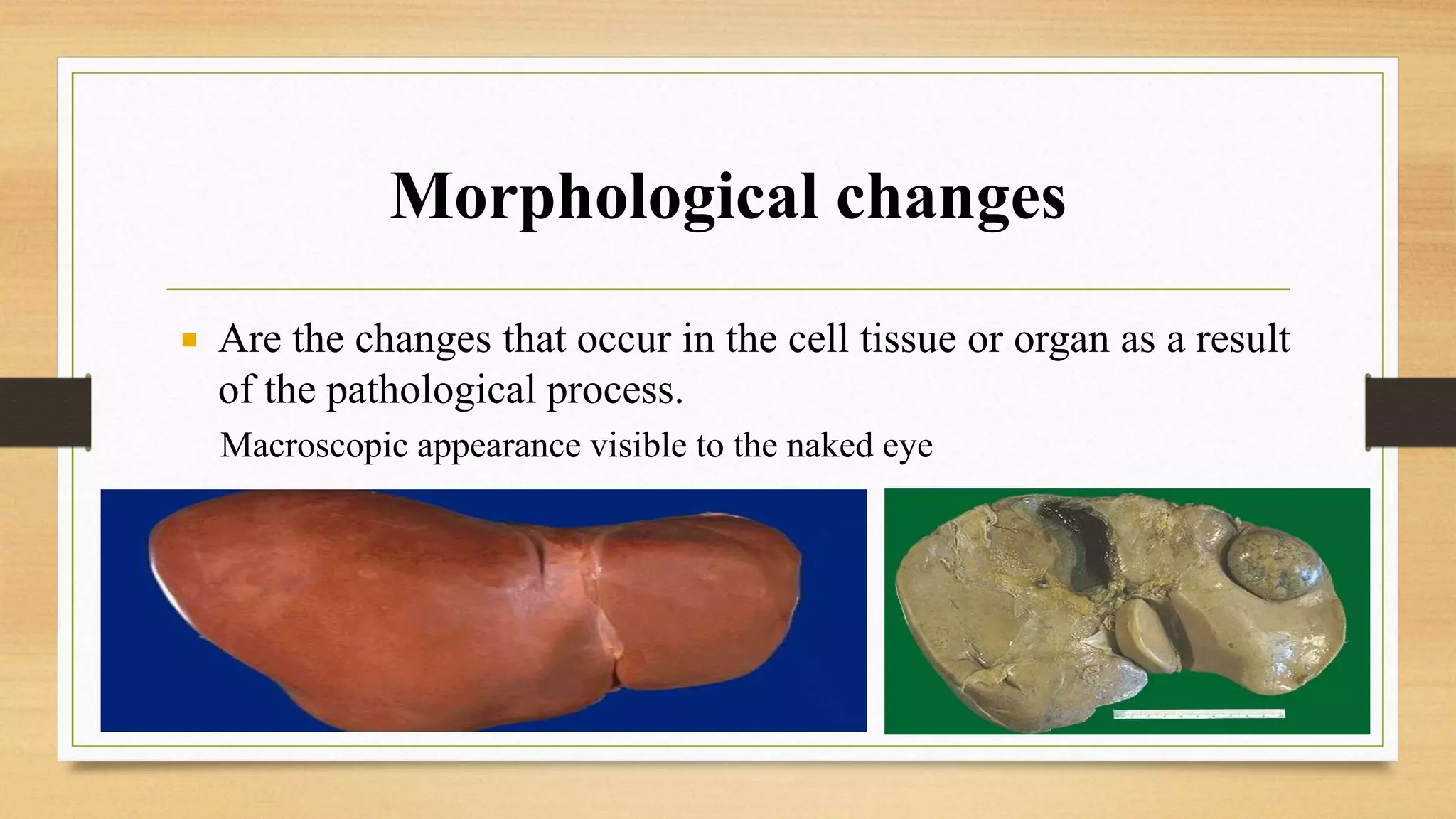 Introduction of pathology | PPTX