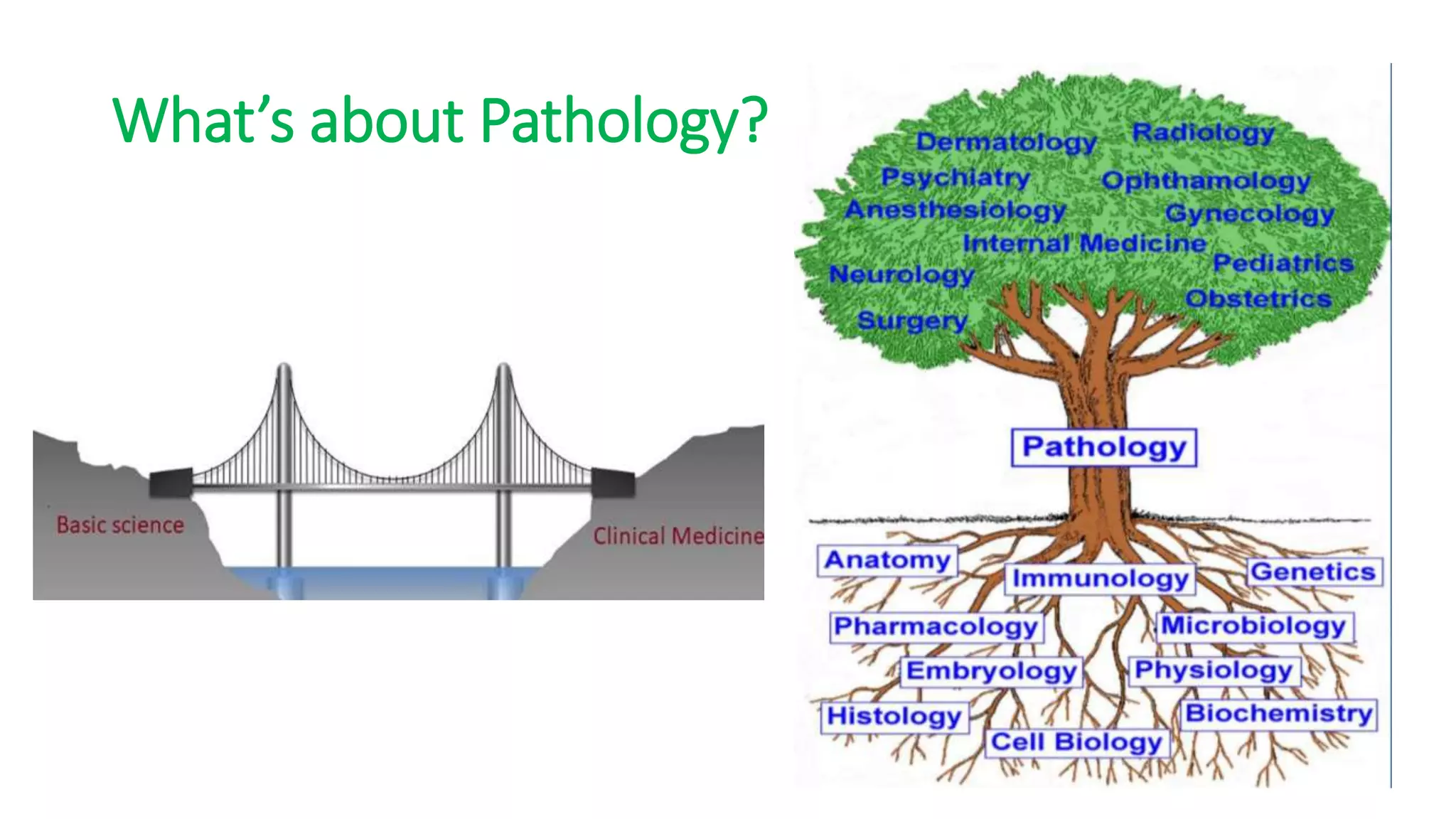 Introduction of pathology | PPTX