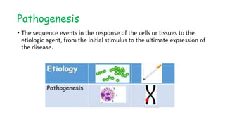 Introduction of pathology | PPTX | Cancer | Diseases and Conditions