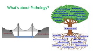 Introduction of pathology | PPTX
