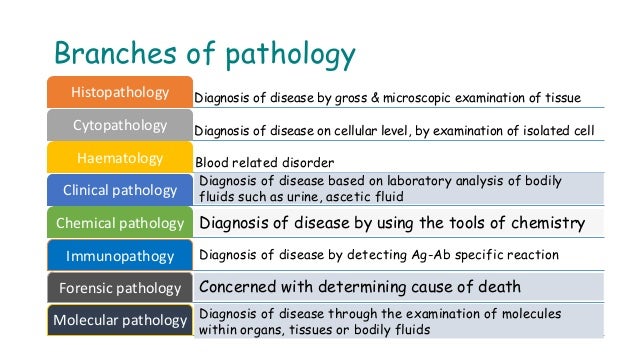 Introduction of pathology
