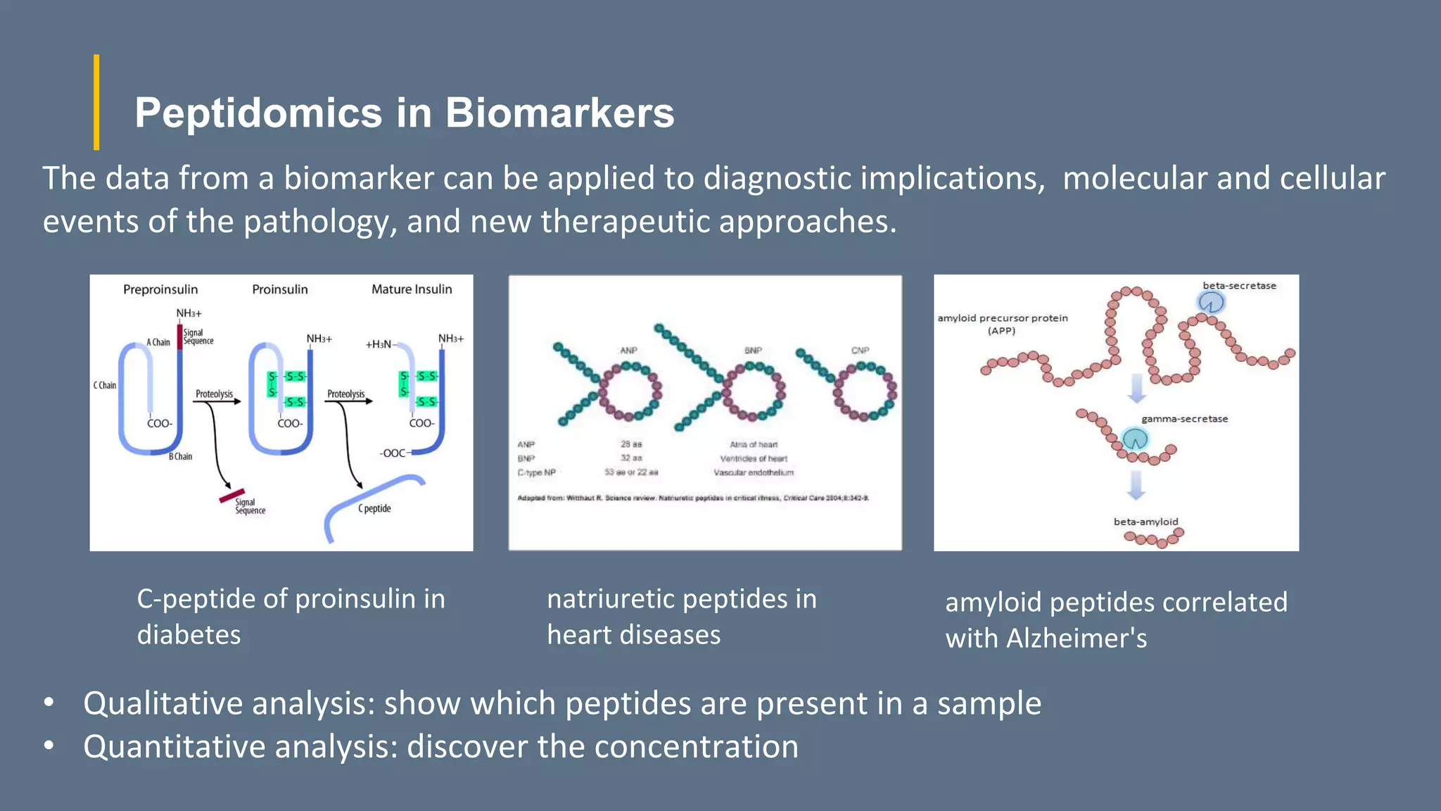 The Application and Methods for Peptidomics | PPTX | Endocrine and Metabolic Diseases | Diseases ...