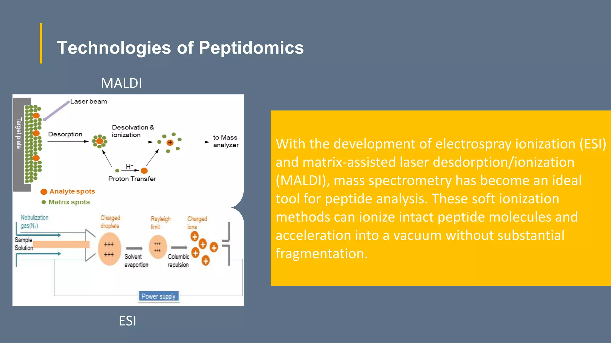 The Application and Methods for Peptidomics | PPTX | Endocrine and Metabolic Diseases | Diseases ...