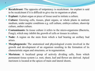 Recalcitrant Definition