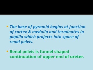 Guyton - INTRODUCTION OF RENAL PHYSIOLOGY.pptx