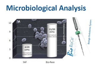 Introduction of saf system | PPTX
