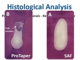 Introduction of saf system | PPTX