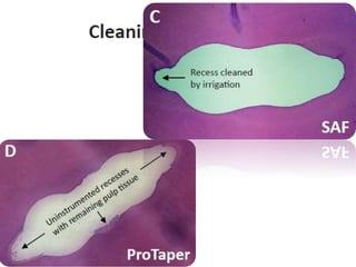 Introduction of saf system | PPTX