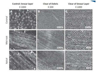 Introduction of saf system | PPTX