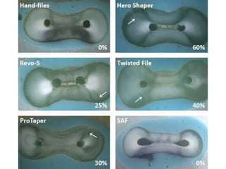 Introduction of saf system | PPTX