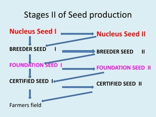 Introduction of seed production | PPTX