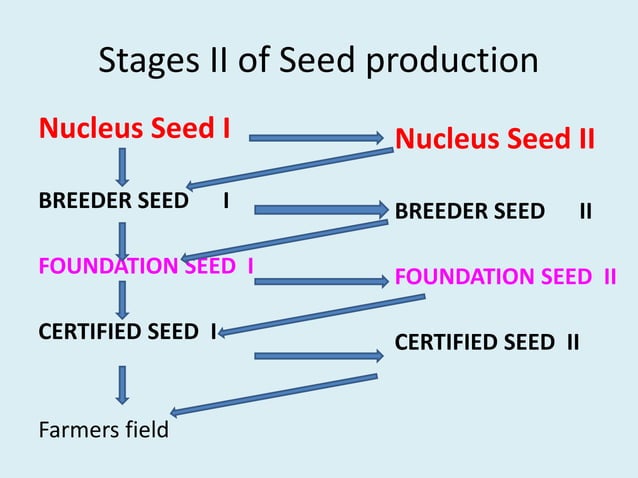 Introduction of seed production | PPTX | Infertility | Reproductive Health