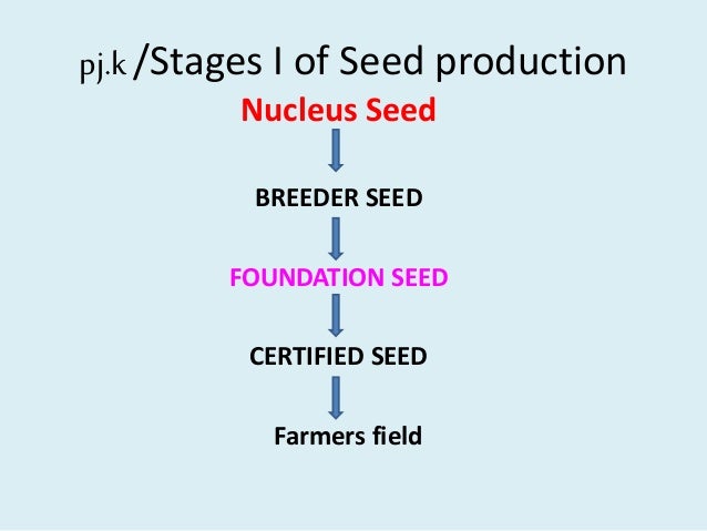 Introduction of seed production