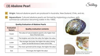 Introduction Of Shell And Mother Of Pearl – 6 Kinds Of Pearls-Like ...