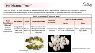 Introduction Of Shell And Mother Of Pearl – 6 Kinds Of Pearls-Like ...