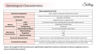 Introduction Of Shell And Mother Of Pearl – 6 Kinds Of Pearls-Like ...