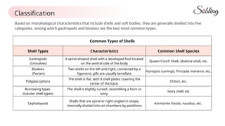 Introduction Of Shell And Mother Of Pearl – 6 Kinds Of Pearls-Like ...