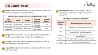 Introduction Of Shell And Mother Of Pearl – 6 Kinds Of Pearls-Like ...