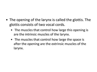 Introduction of Speech.pptx