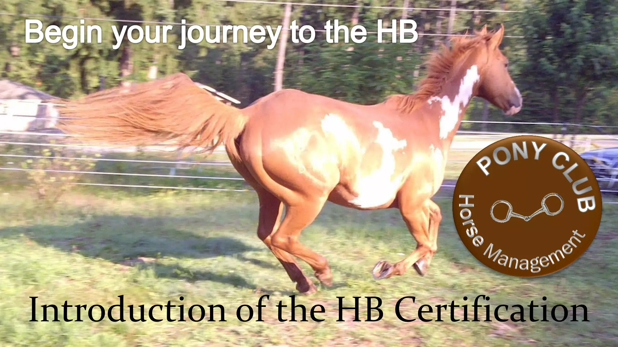 Introduction of the Pony Club HB | PDF