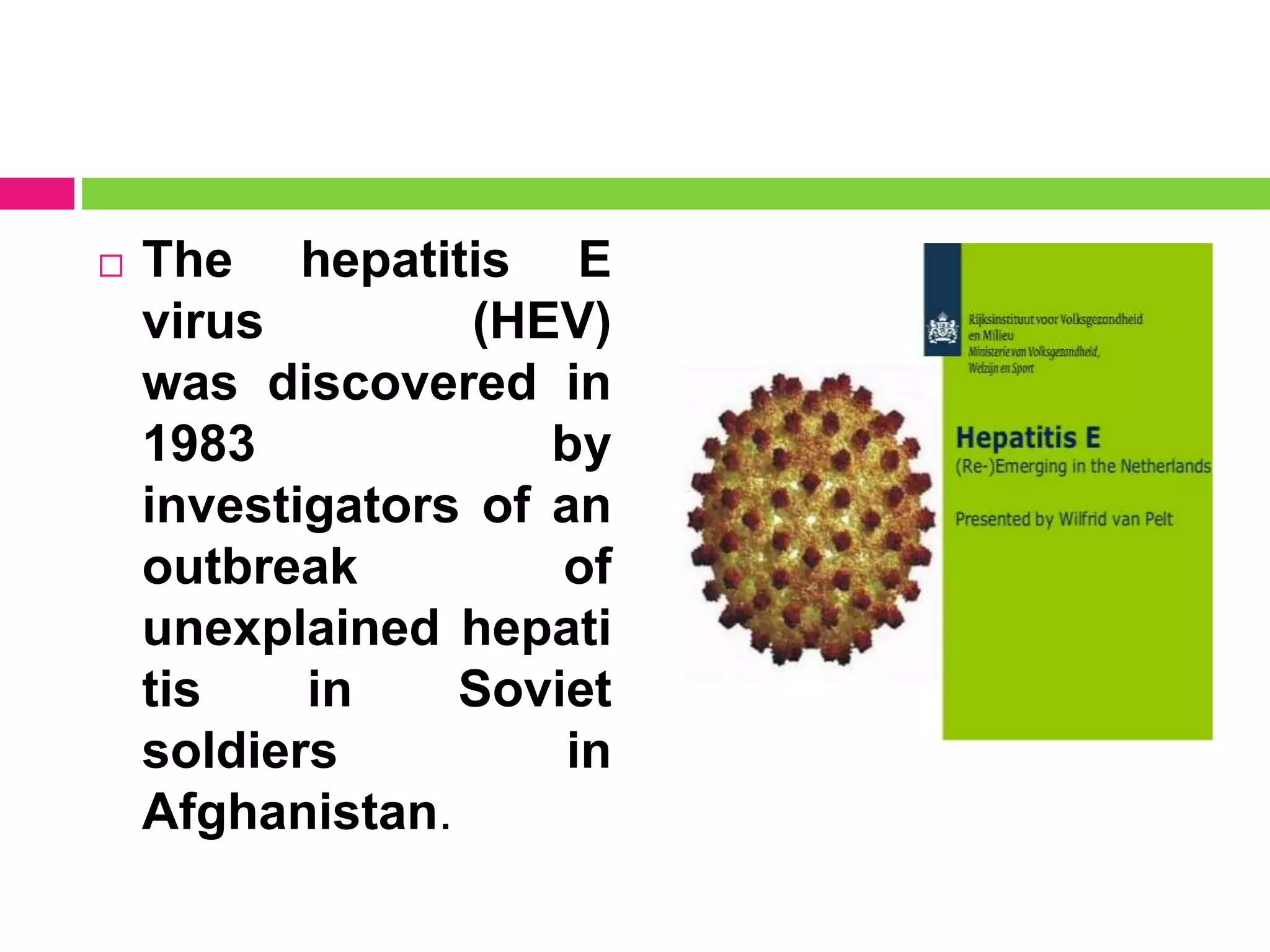 Introduction on Hepatitis.pptx