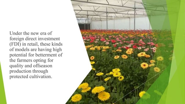 Introduction on protected floriculture | PPTX | Agriculture | Industries