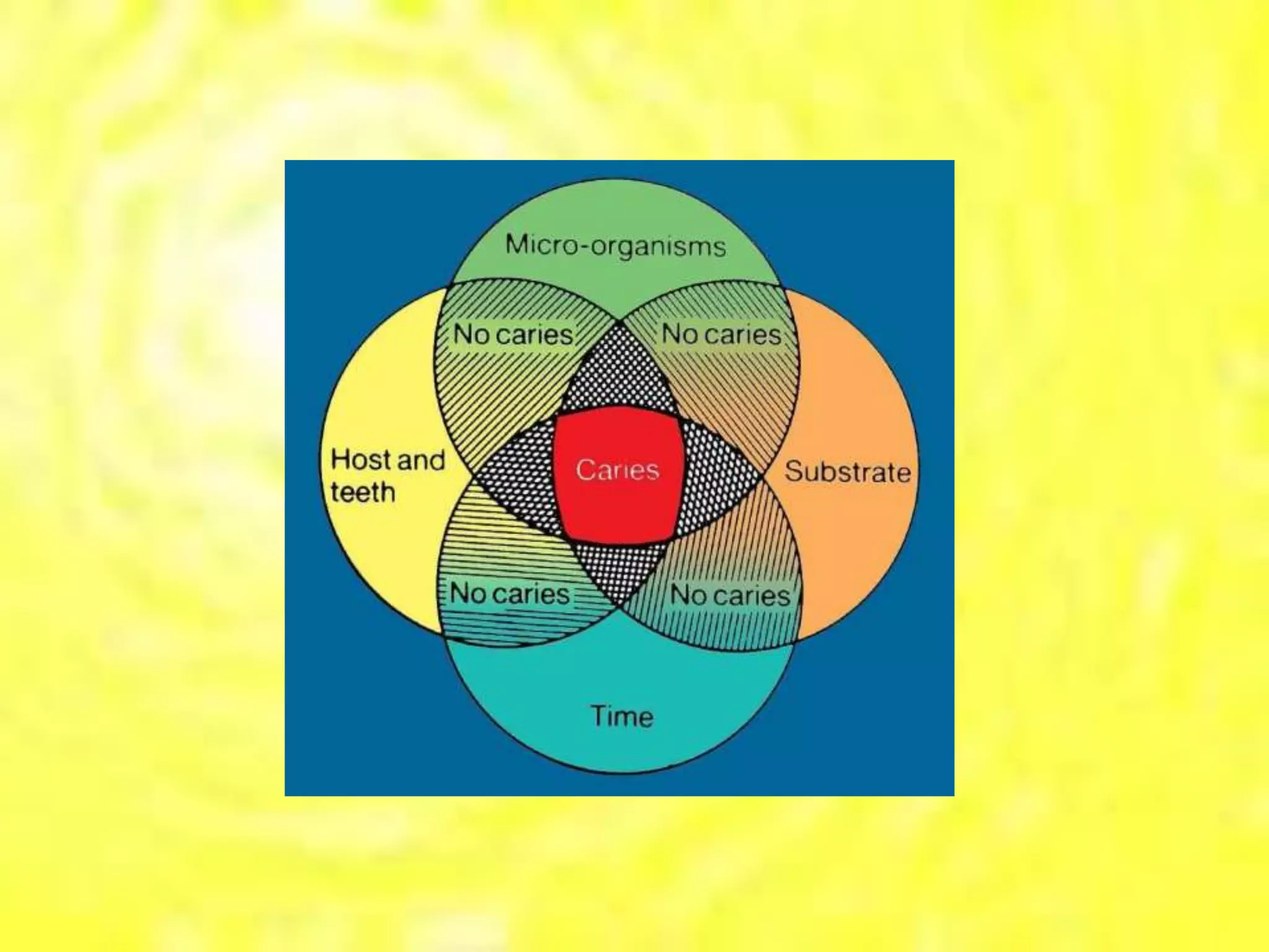 introduction operative1.pptx