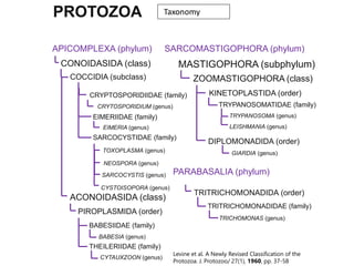 Introduction Parasitology.pptx............. | PPTX