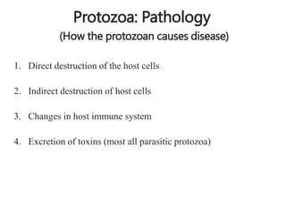 Introduction Parasitology.pptx............. | PPTX