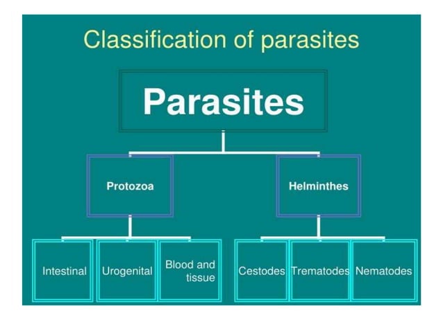 Introduction Parasitology.pptx............. | PPT