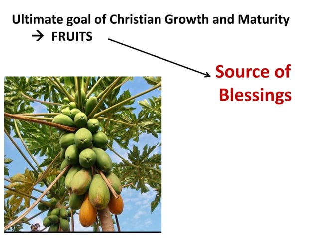 Christian Maturity Introduction Part I & II | PPT