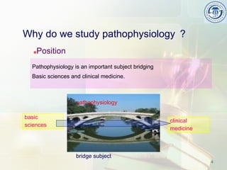 Introduction Pathophysiology.pptx, Pathology | PPTX